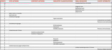 Lead Scoring Matrix | Brandsensations